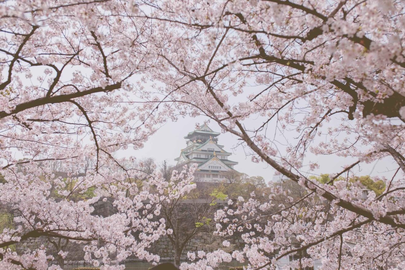 Destinos ideales para un viaje en primavera